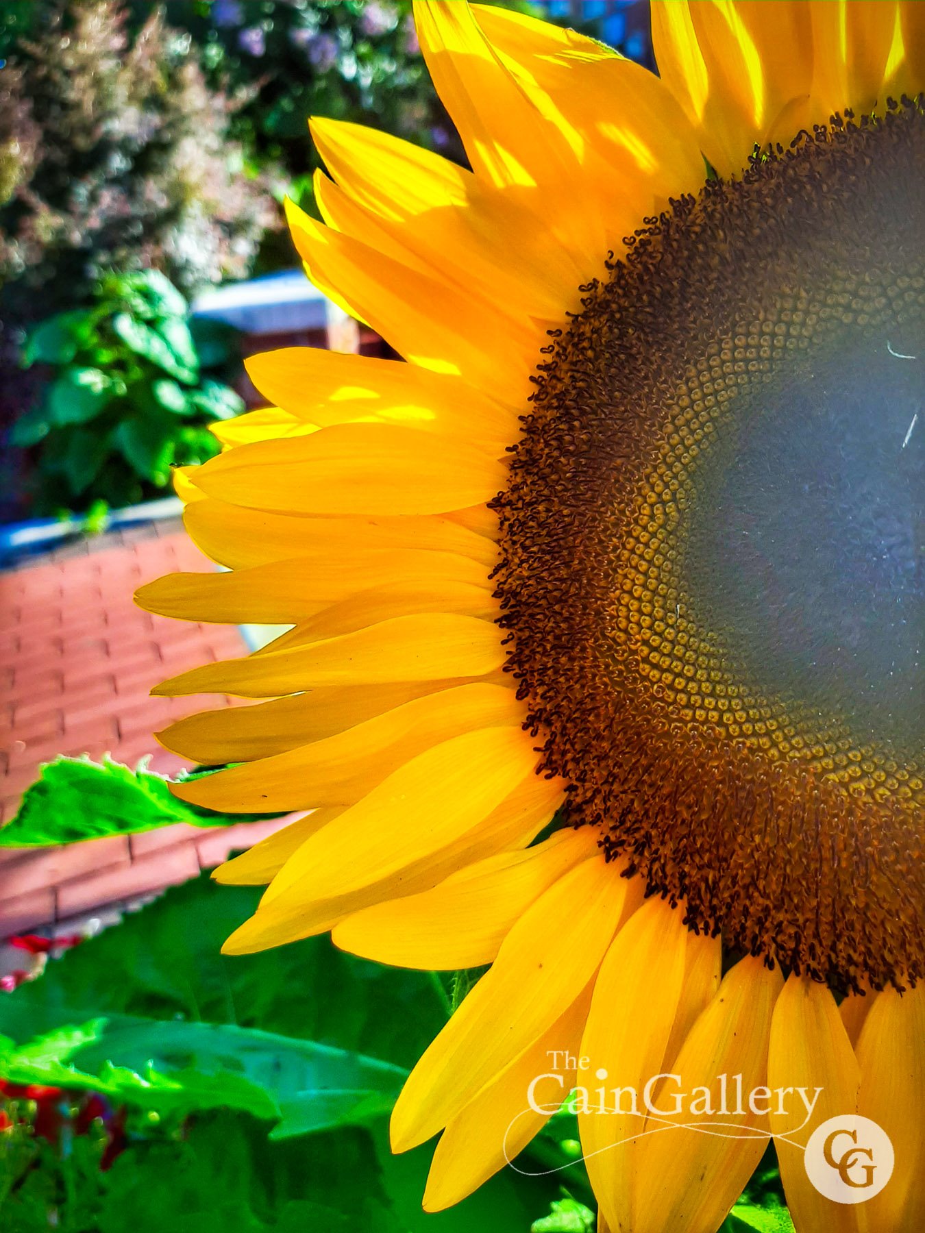 Beauty in the Making Devotion 98 – SEEING THE EXTRAORDINARY