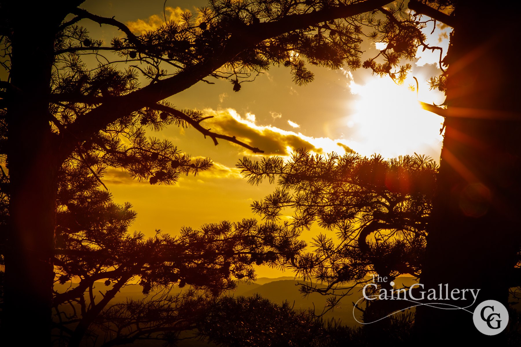 Wise – Devotion 147 – SEEING THE EXTRAORDINARY