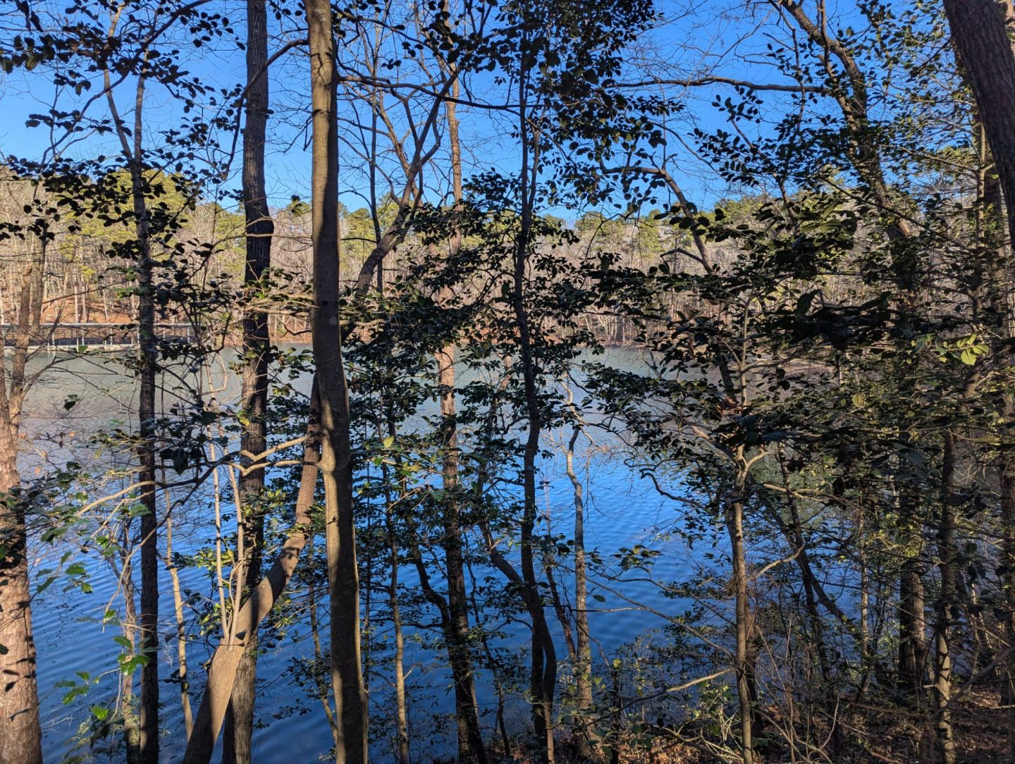 The First Step – Day 28 – SEEING THE EXTRAORDINARY